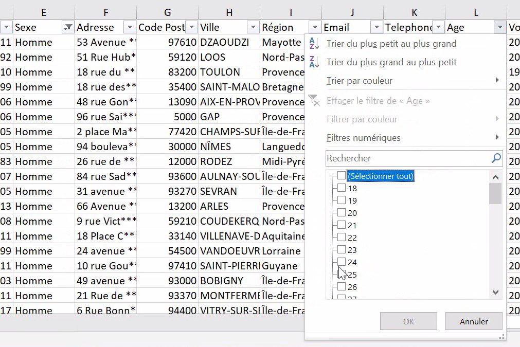 Comment analyser des données avec Excel (Tri, Filtre, Filtre élaboré ...