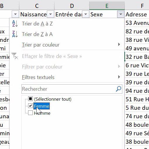 Comment analyser des données avec Excel (Tri, Filtre, Filtre élaboré, tableaux croisés ...