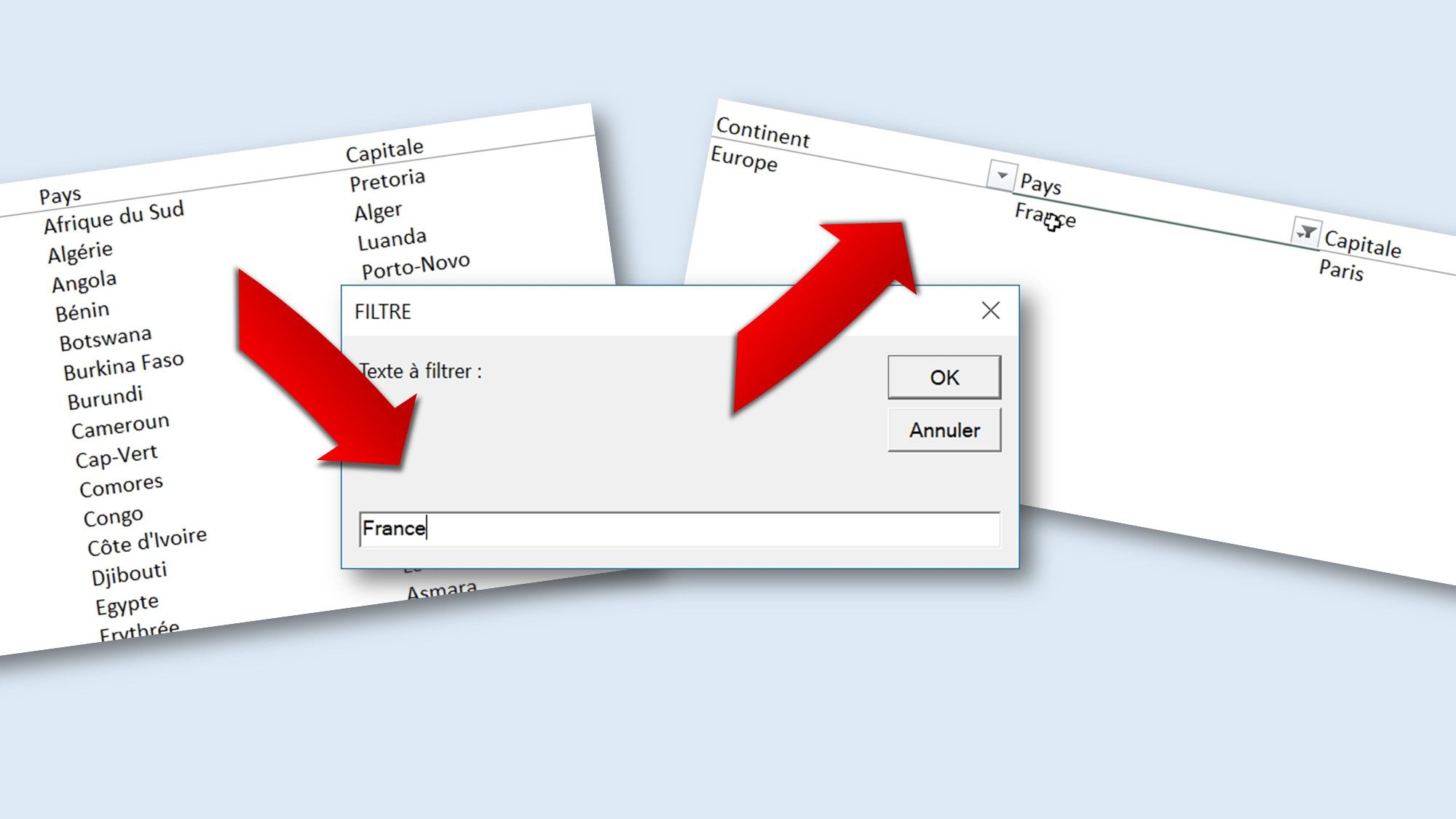 Comment filtrer des données en VBA sur Excel - Excel formation