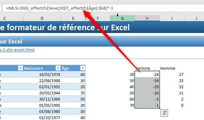 UNE PYRAMIDE DES ÂGES EN 1 CLIC SUR EXCEL ! - Excel formation