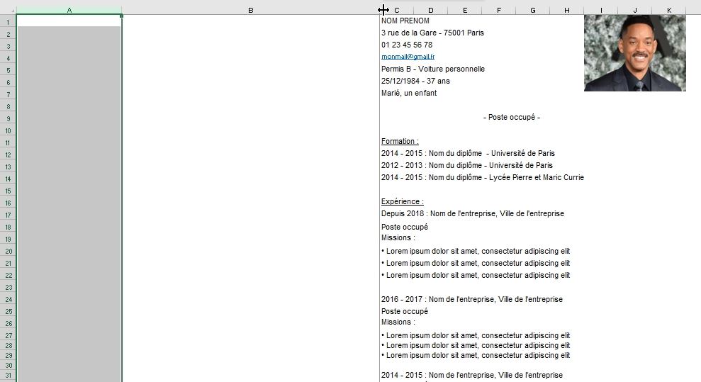 Sortez du lot : comment créer un CV moderne et impactant avec Excel ...