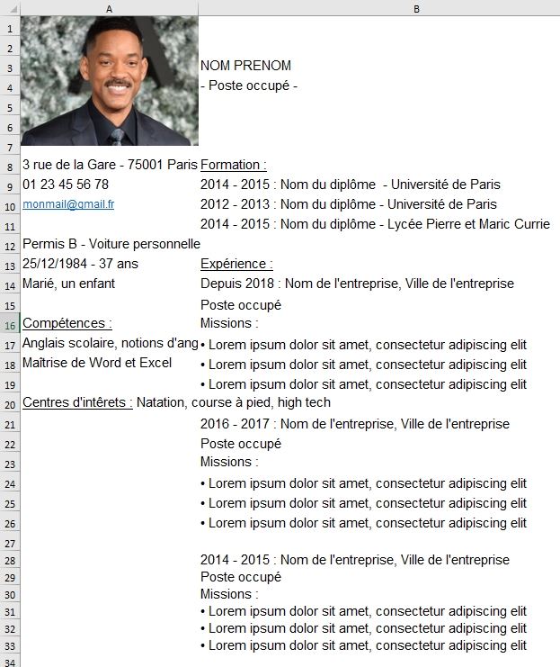 Sortez du lot : comment créer un CV moderne et impactant avec Excel ...