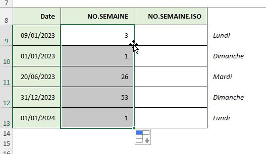 Comment obtenir efficacement le numéro de semaine d’une date donnée sur Excel ? - Excel formation